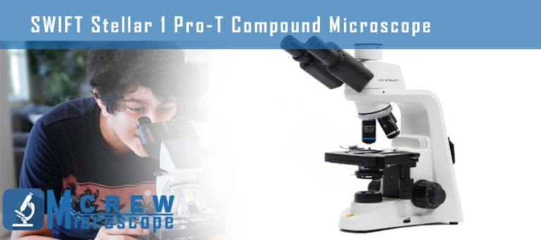 Best Trinocular Microscopes - Microscope Crew
