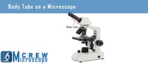 What does the Body Tube do on a Microscope - Microscope Crew