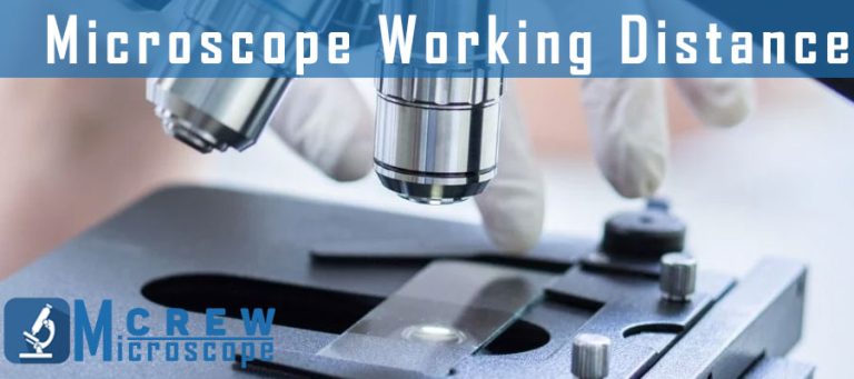 What is Working Distance in Microscope? - Microscope Crew