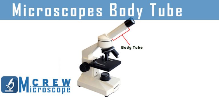 What does the Body Tube do on a Microscope - Microscope Crew