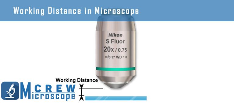 What is Working Distance in Microscope? - Microscope Crew