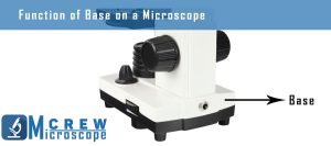 What is the Function of the Base in a Microscope? - Microscope Crew