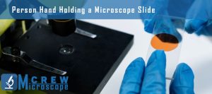 Types of Microscope Slides - Microscope Crew