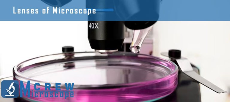 What Does the Iris Diaphragm Do on a Microscope? - Microscope Crew