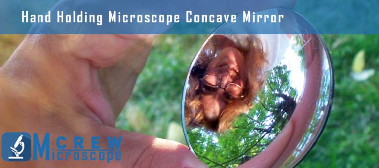 Why are Mirrors Important to the Function of Microscope? - Microscope Crew