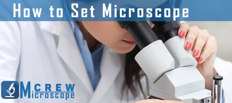 How to Set Up a Microscope? - Microscope Crew