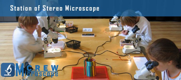 Uses of Stereo Microscopes - Microscope Crew