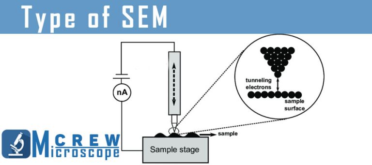 What is a Scanning Tunneling Microscope - Microscope Crew