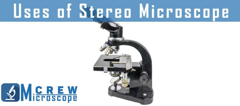 Uses of Stereo Microscopes - Microscope Crew