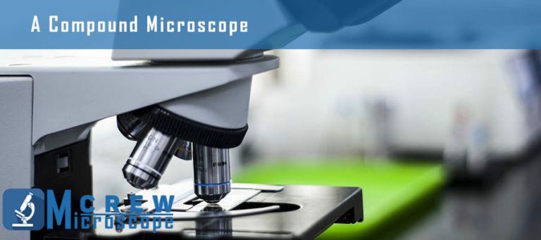 Uses of Stereo Microscopes - Microscope Crew