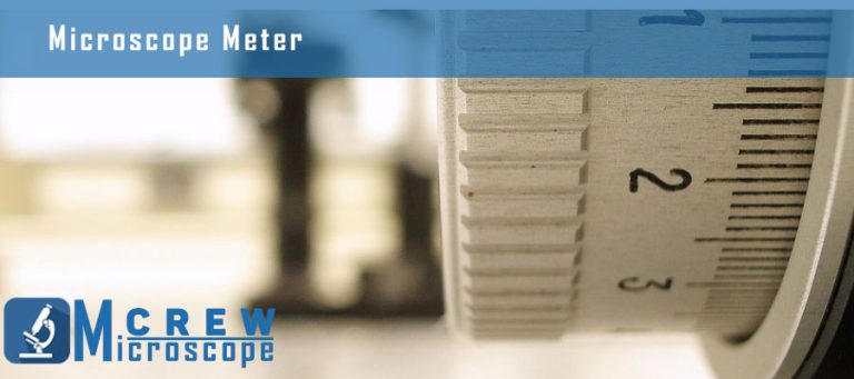 How to Calibrate a Microscope? - Microscope Crew