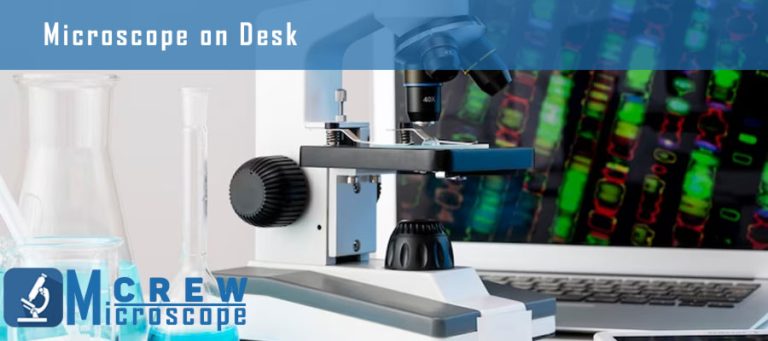 How to Store a Microscope - Microscope Crew