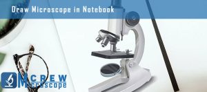How to Draw a Microscope Step-by-Step - Microscope Crew