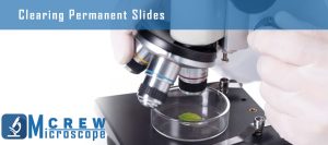 How to Make Permanent Slides - Microscope Crew