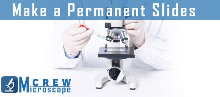 How to Make Permanent Slides - Microscope Crew
