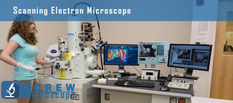 How Scanning Electron Microscope Works - Microscope Crew